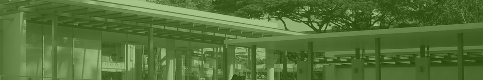 All filming-photography/2023 Posts | Courier Online | St Andrew's Cathedral