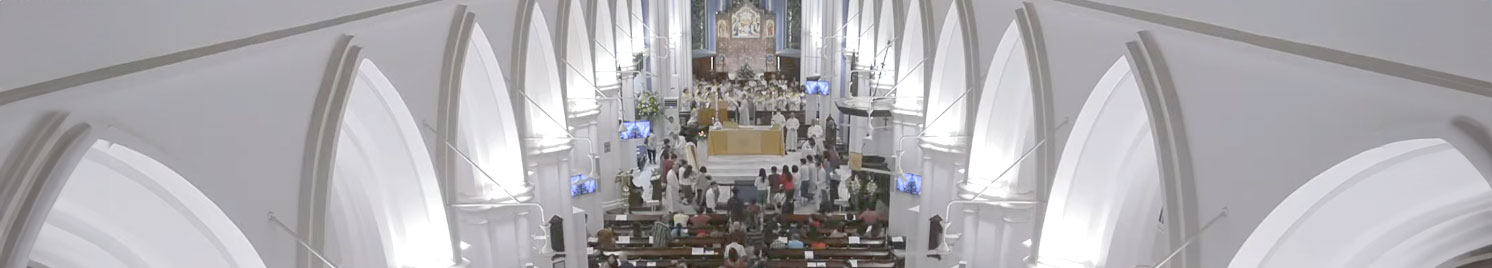 Services at the Cathedral | St Andrew's Cathedral